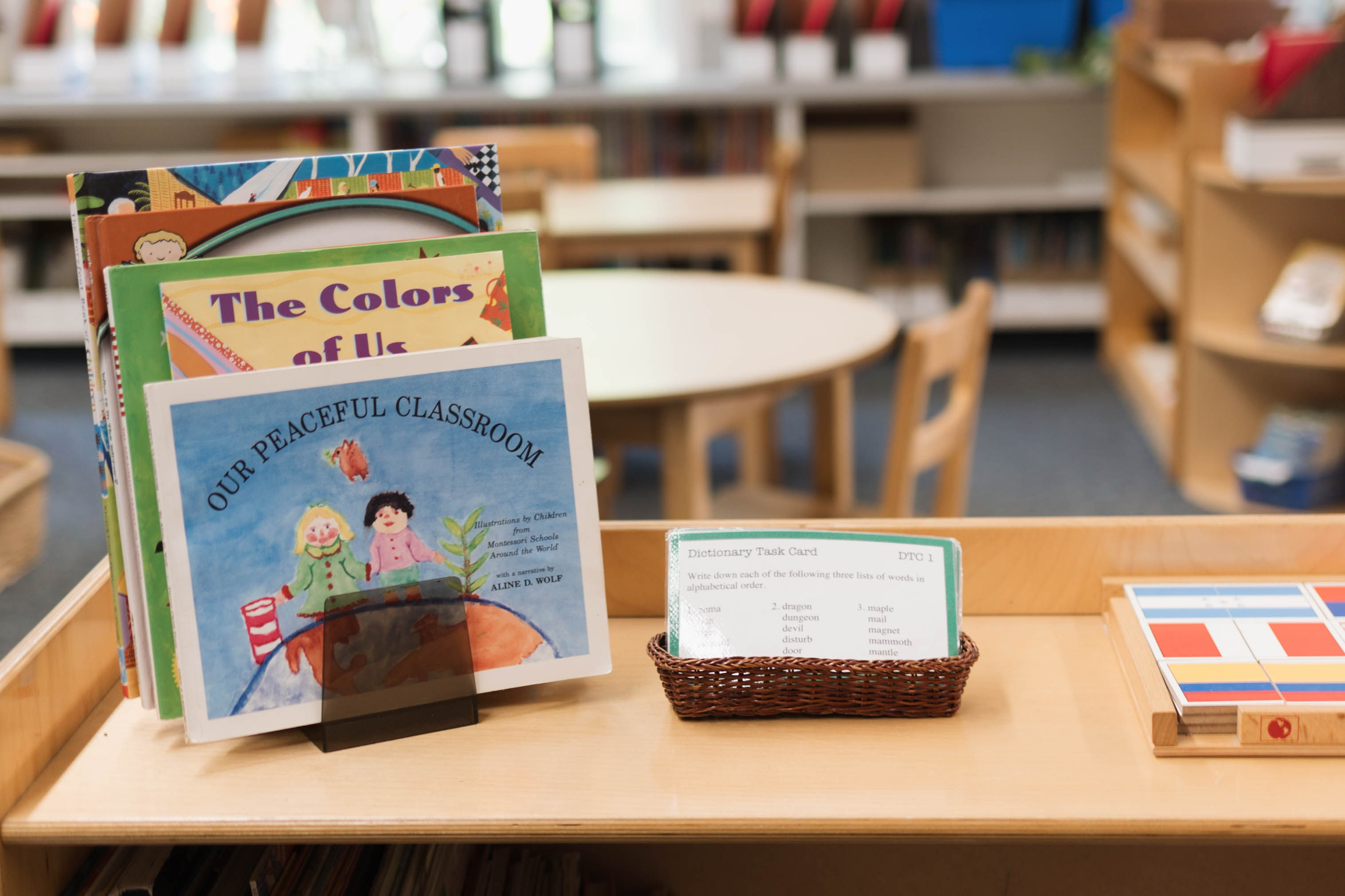 Lower Elementary | Lexington Montessori School