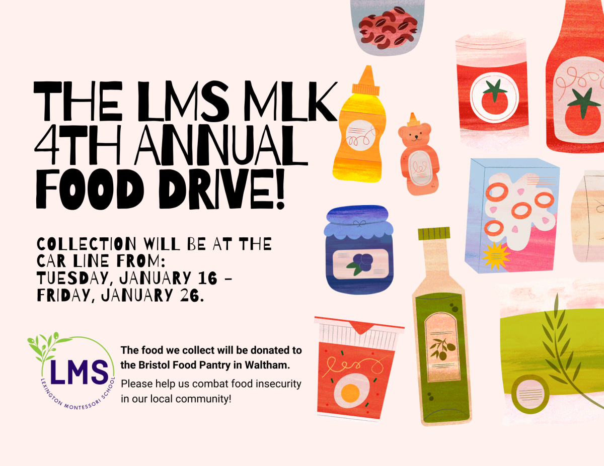 LMS MLK 4th Annual Food Drive | News | Lexington Montessori School